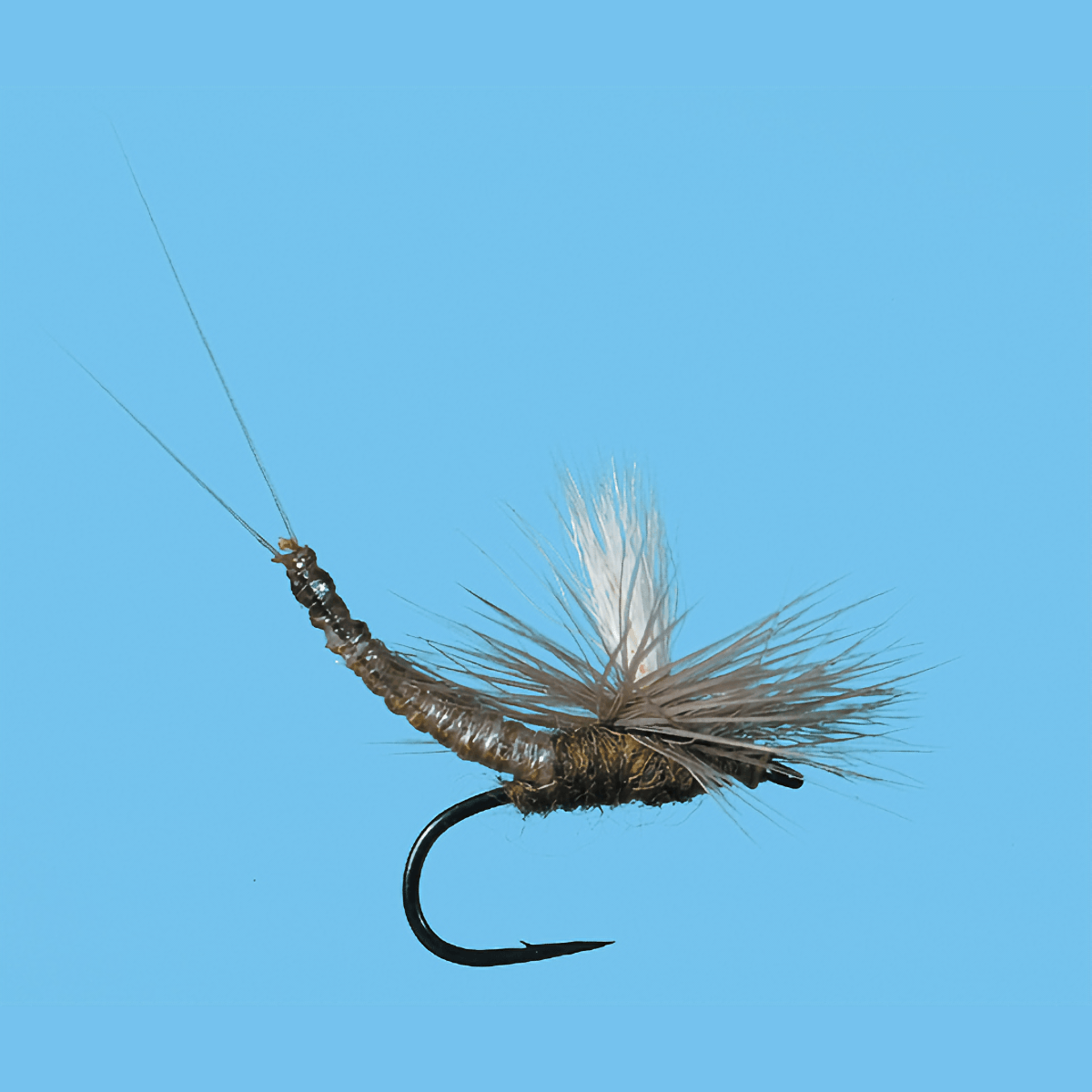 Solitude Parachute EXT Body Fly (12 Count) - Als.com