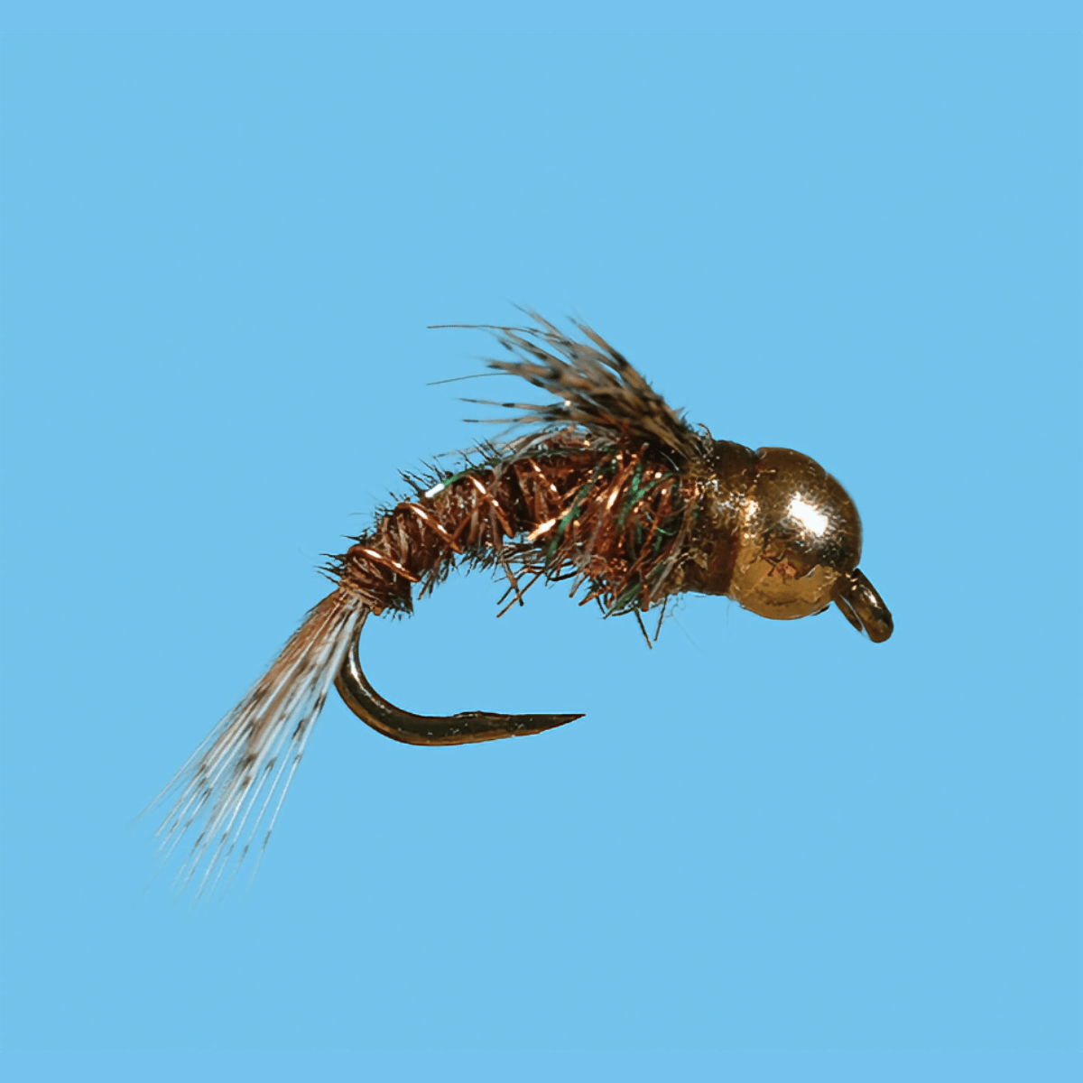 Solitude Fly Tungsten Flash Bug Fly(12 Count) - Als.com