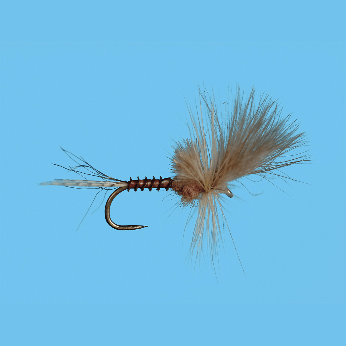 Solitude Fly Solitude Last Chance Cripple Fly (12 Count) - Als.com