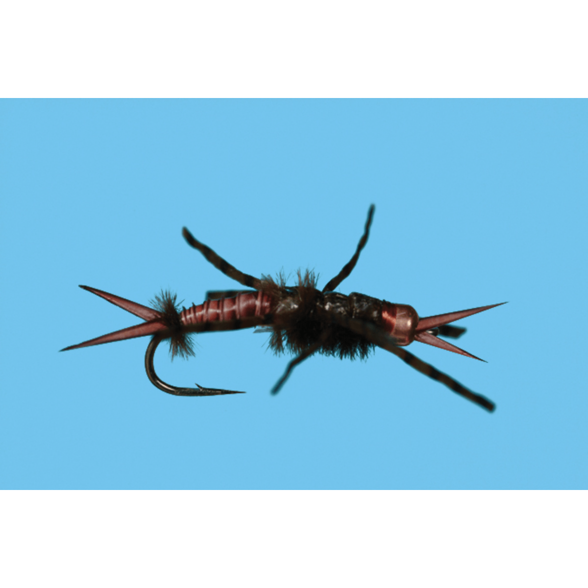 Solitude Fly Tungsten Brown Stone Fly (12 Count) - Als.com